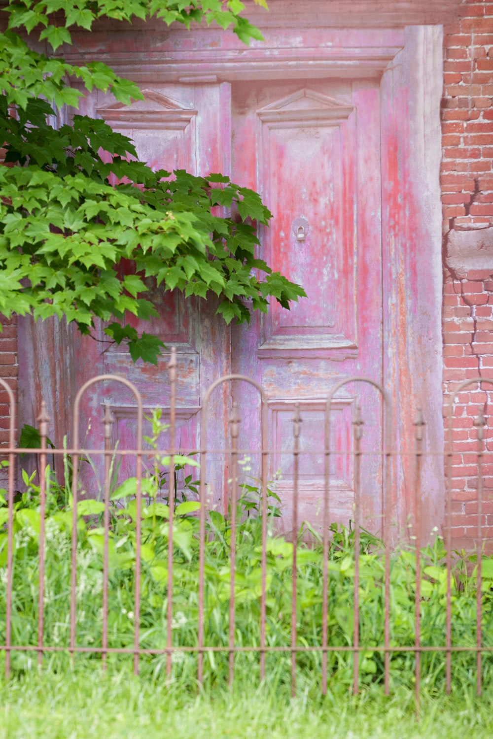 Outdoor Gallery - Paul Floyd Photography